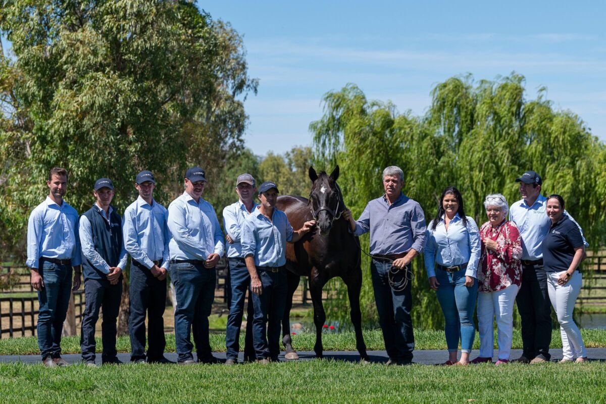 The Vinery Team - Vinery Stud