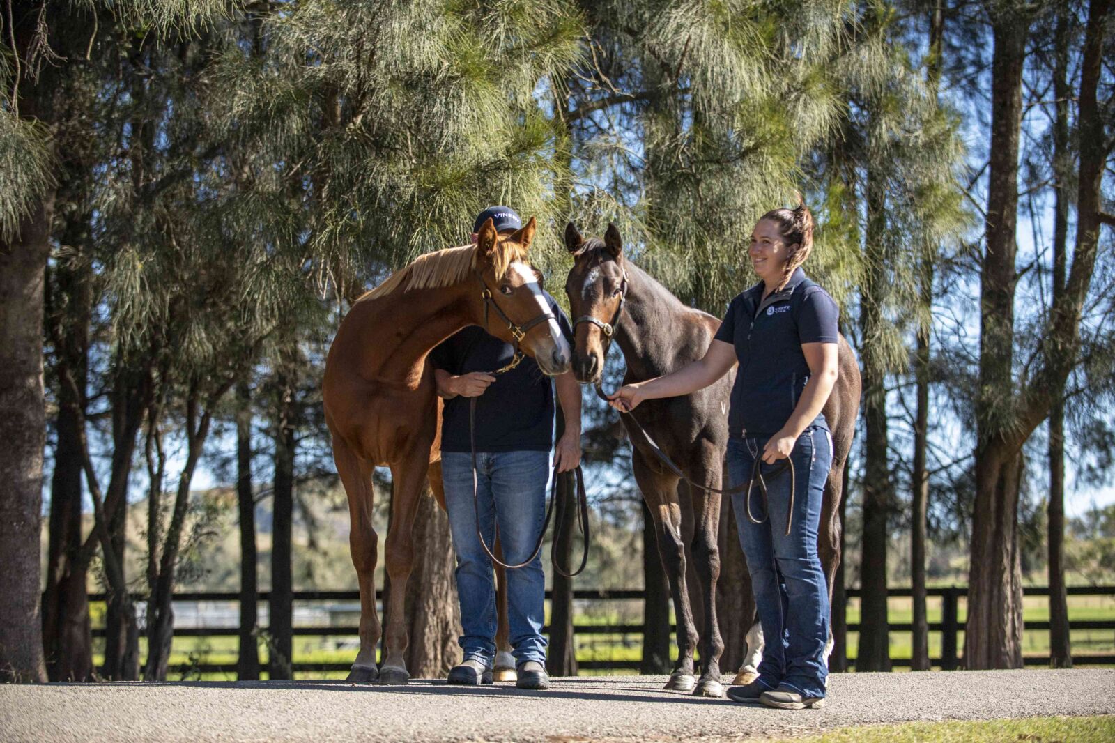 Who We Are - Vinery Stud