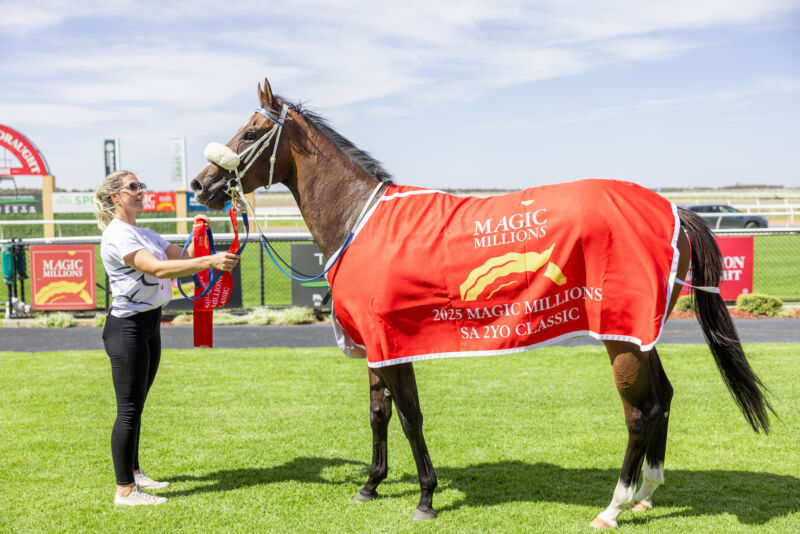 HOME - Vinery Stud